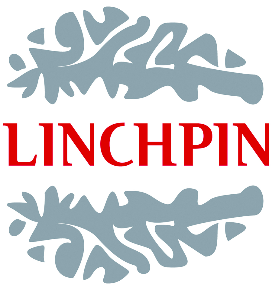 LINCHPIN | Centre for Clinical Brain Sciences | Centre for Clinical ...